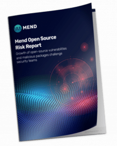 Open Source Risk Report | Mend.io