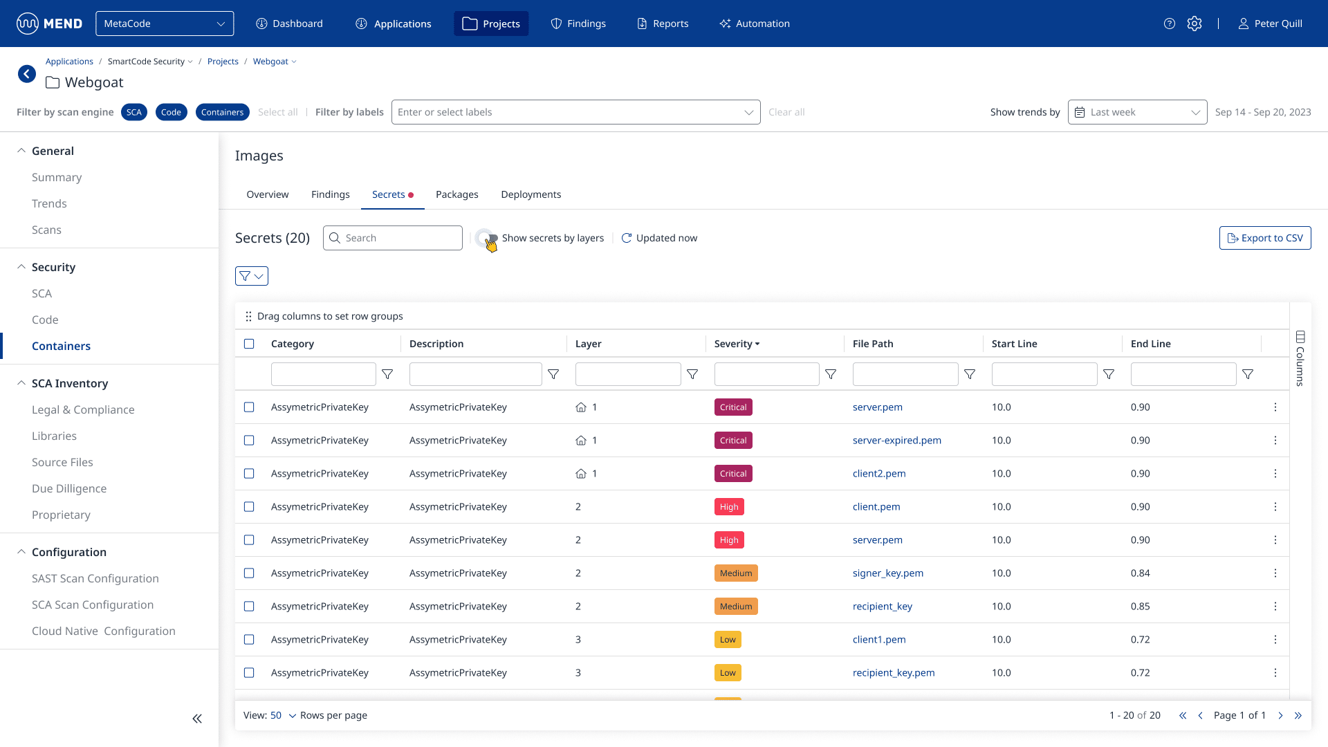Mend Container: Secure Containerized Applications