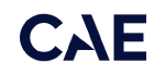 CAE Secures Azure Devops Repos With Mend SCA